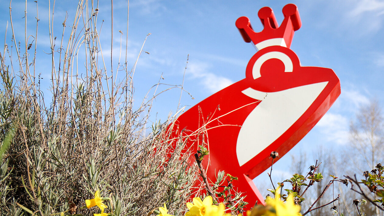 Production Sites and Sales Companies - Werner & Mertz